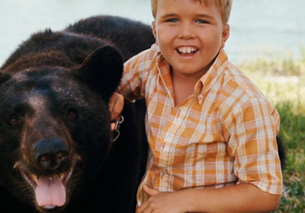 Mon ami Ben : liaison dangereuse à la télé